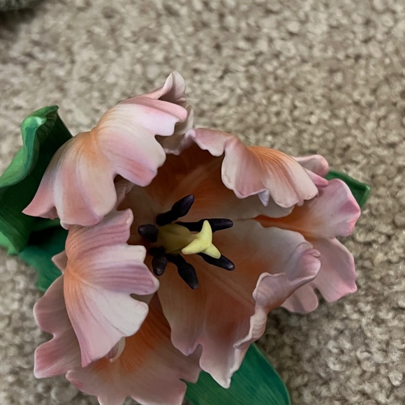 Lenox | Art | Parrot Tulip | Poshmark